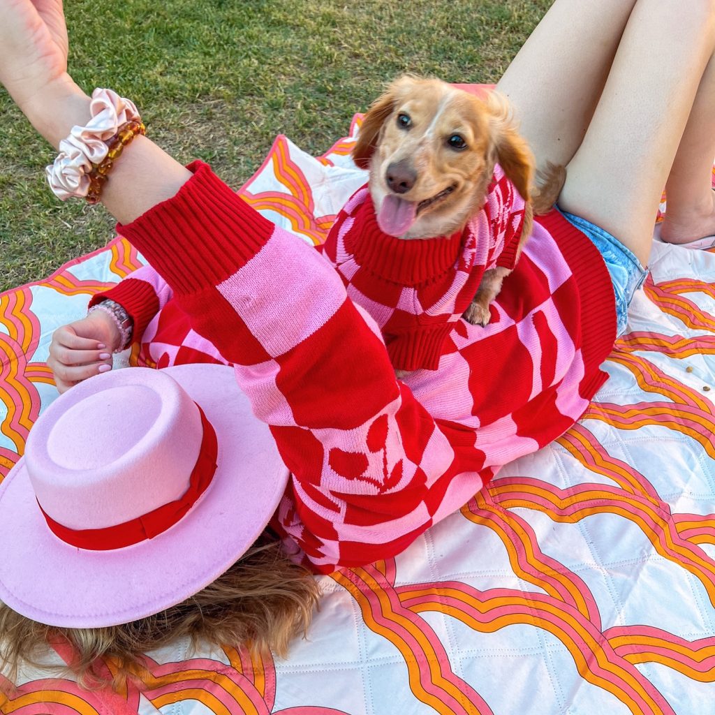 Pets Things – All About Pets
